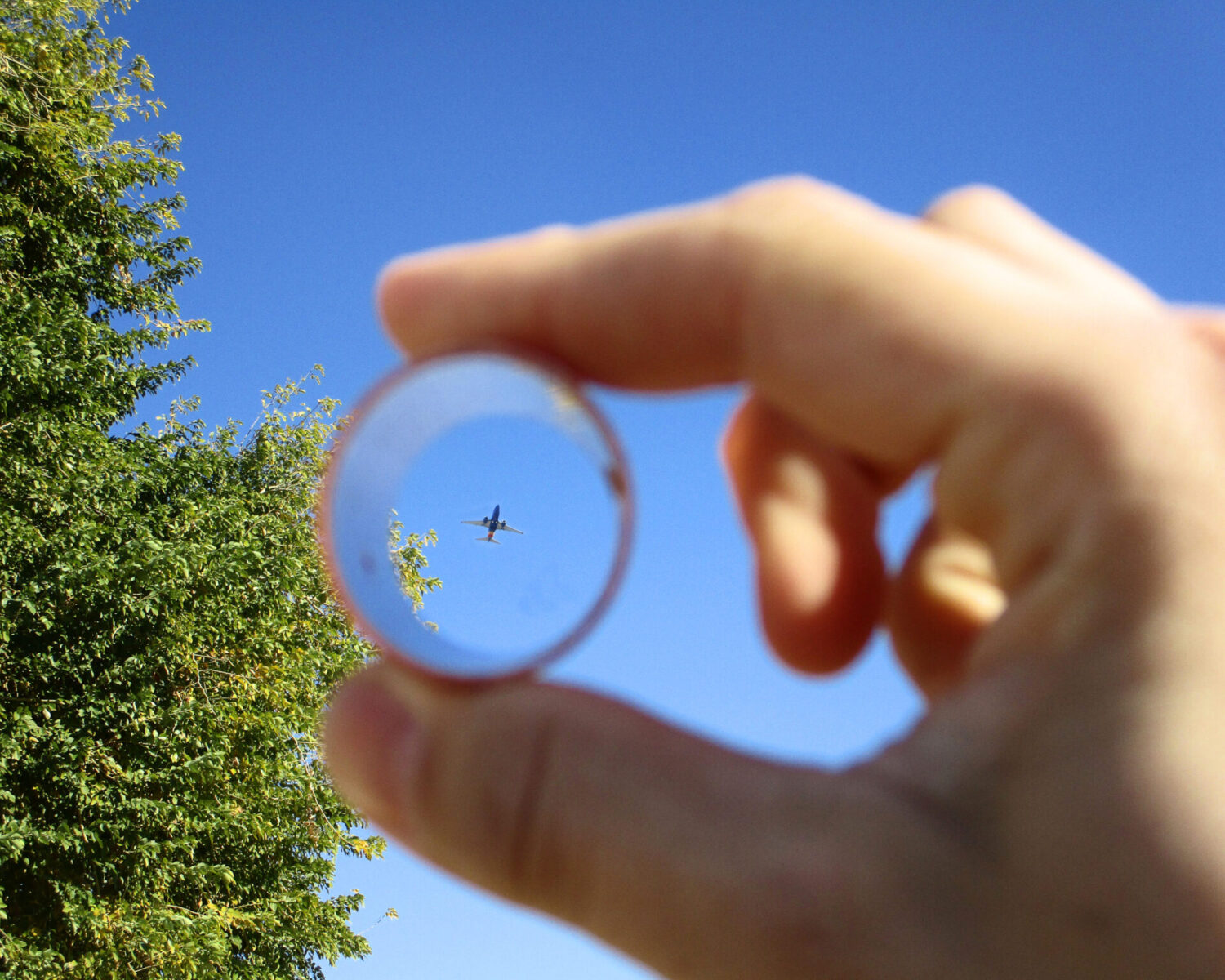 2025: Bubble Plane - Kids in Focus
